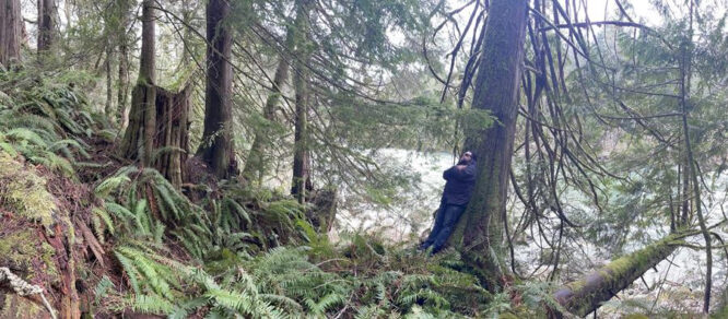 Southern Lord Recordings – The official cave of Southern Lord ...